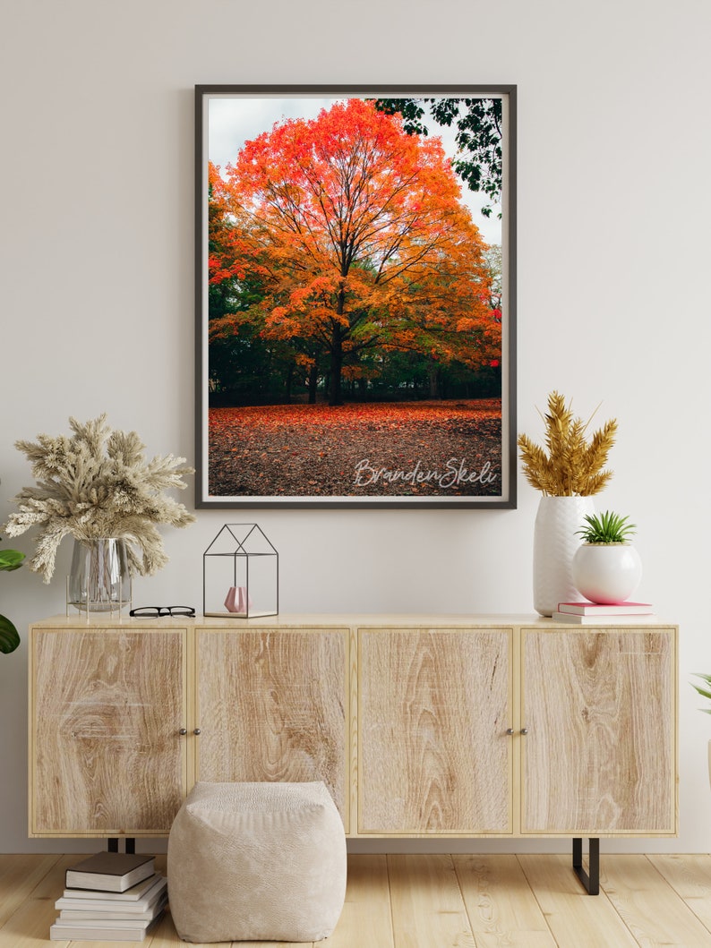 Autumn Tree Print, Fall Foliage Art, Colorful Leaves Wall Decor - Etsy