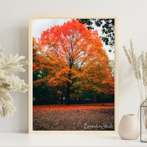Autumn Tree Print, Fall Foliage Art, Colorful Leaves Wall Decor - Etsy