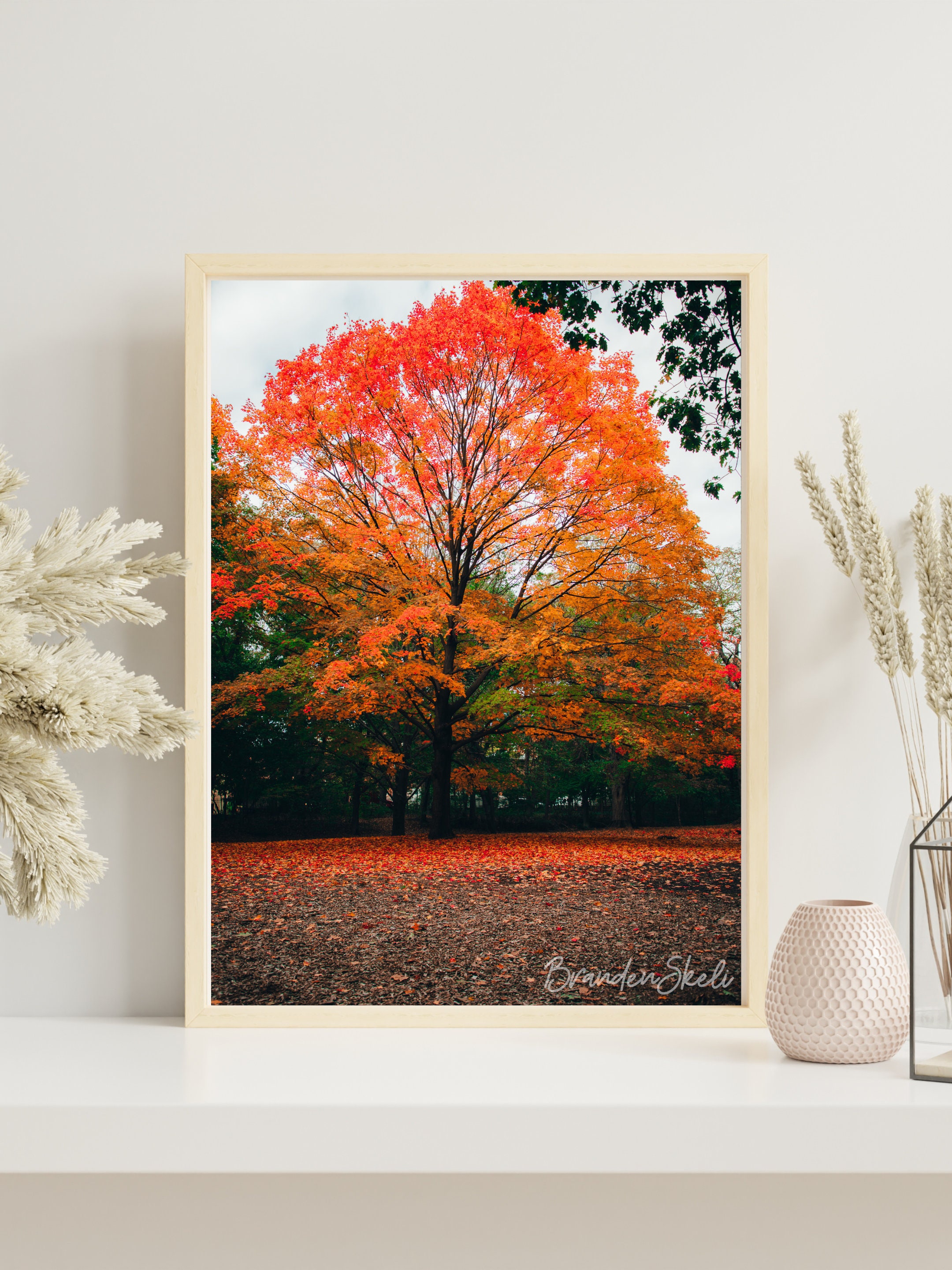Autumn Tree Print, Fall Foliage Art, Colorful Leaves Wall Decor - Etsy