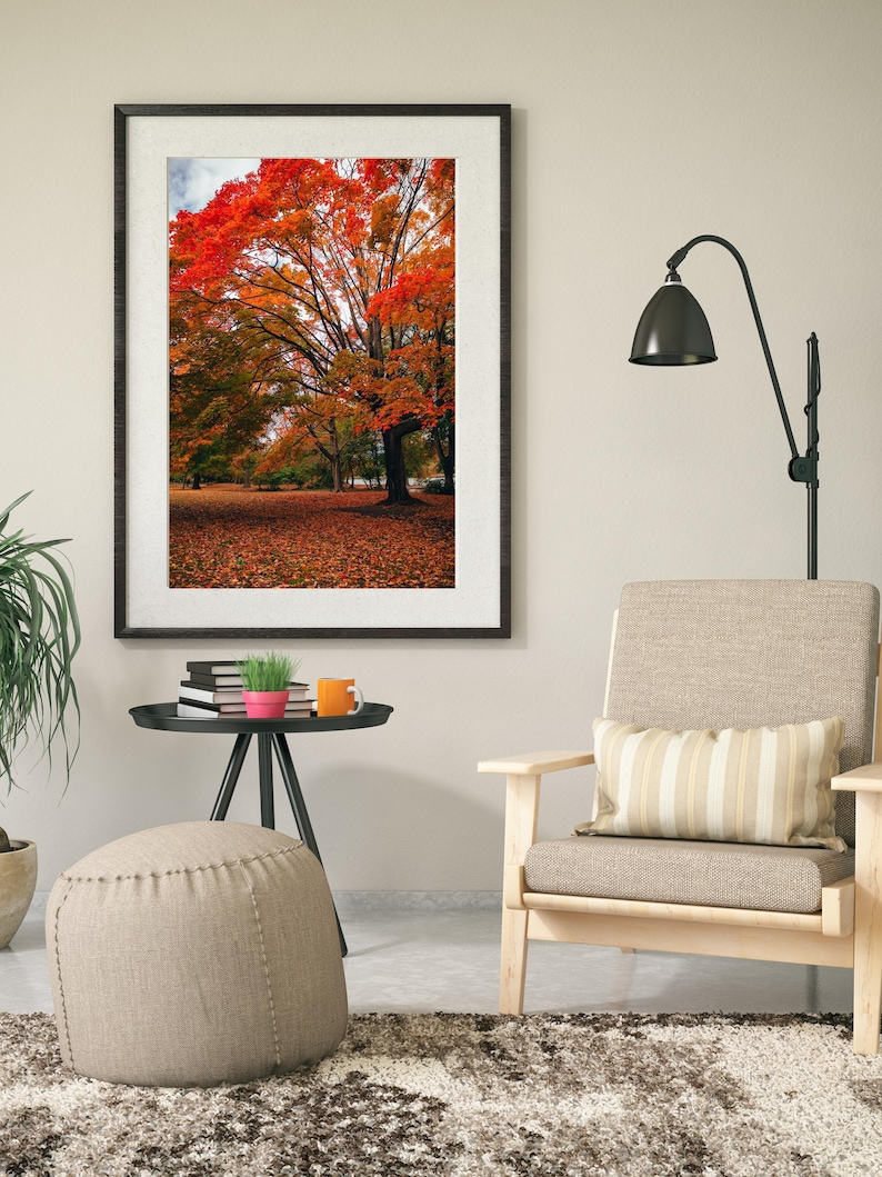 Fall Color Tree Wall Art Red Maple Leaves Autumn Forest - Etsy