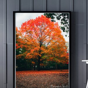 Autumn Tree Print, Fall Foliage Art, Colorful Leaves Wall Decor - Etsy