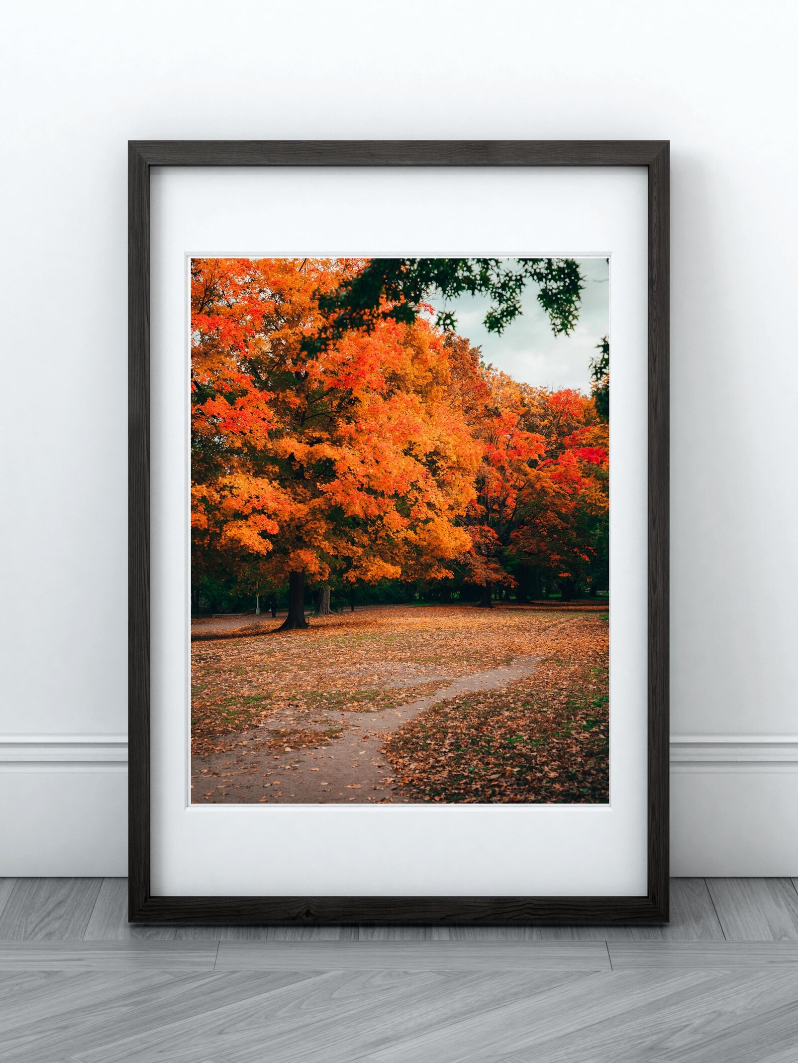 Autumn Path Print, Colorful Fall Foliage Wall Art, Nature Photography ...