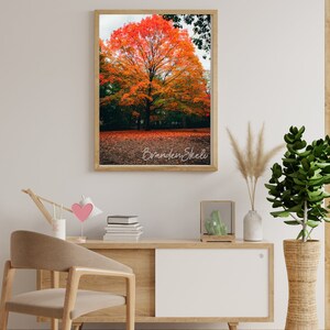 Autumn Tree Print, Fall Foliage Art, Colorful Leaves Wall Decor - Etsy