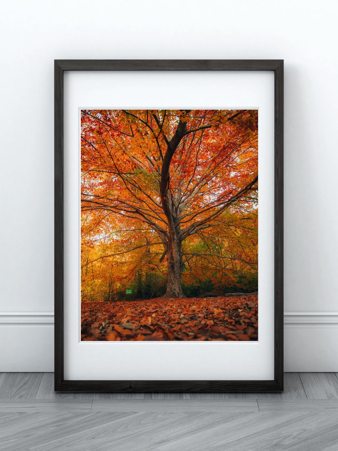 Autumn Maple Tree Print Wall Art Fall Season Print Autumn - Etsy