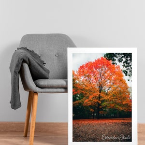 Autumn Tree Print, Fall Foliage Art, Colorful Leaves Wall Decor - Etsy