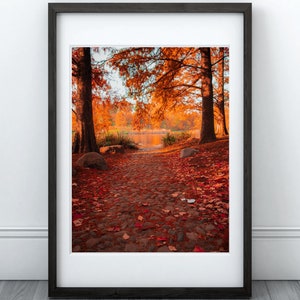 Autumn Forest Landscape, Fall Season Print, Fall Forest Wall Art ...