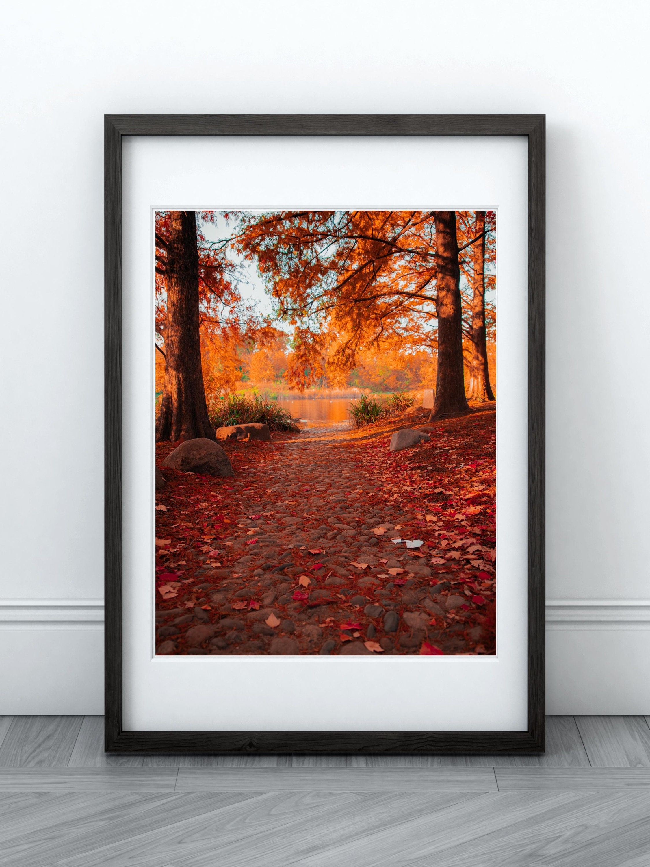 Autumn Forest Landscape, Fall Season Print, Fall Forest Wall Art ...