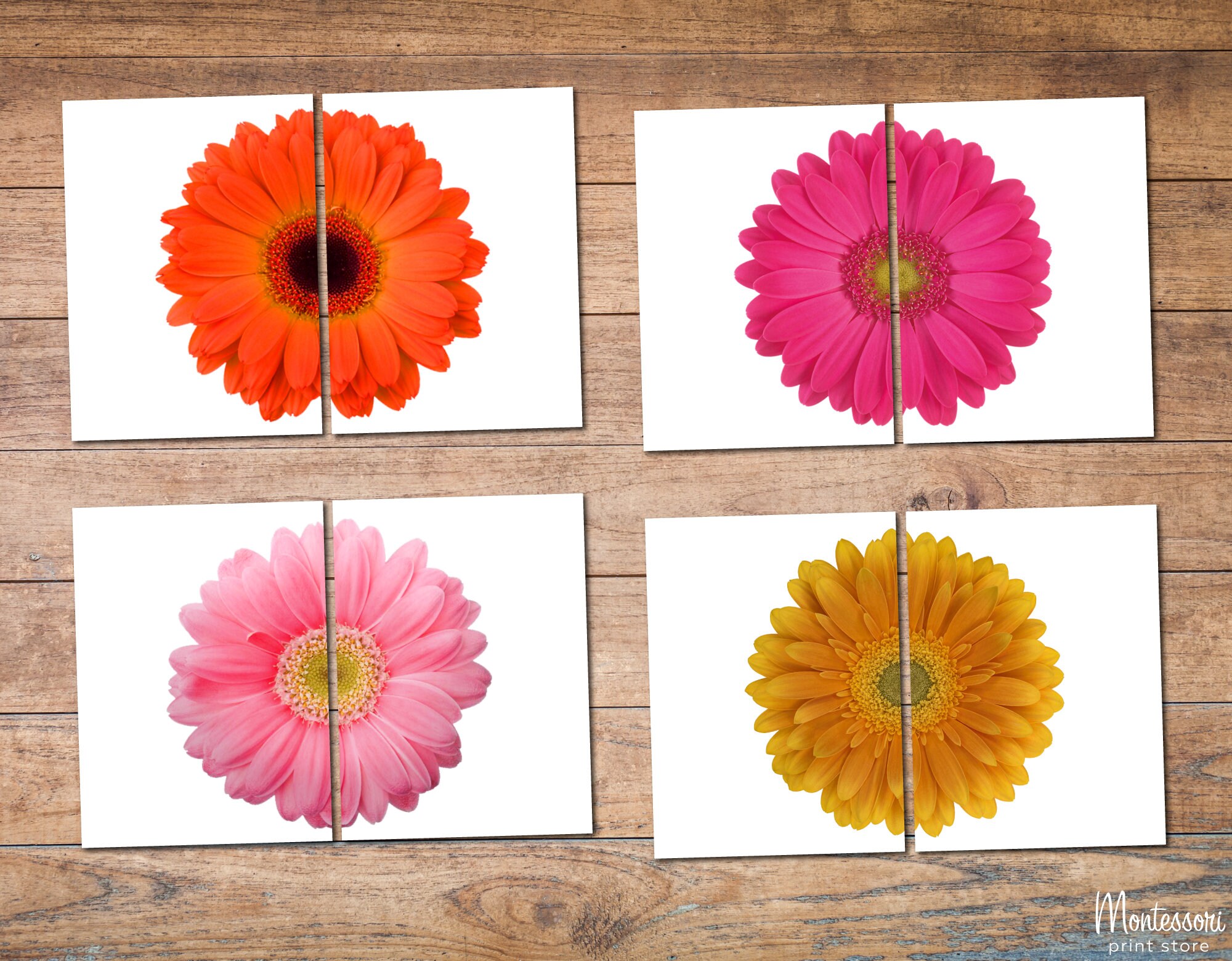Flower Symmetry Puzzles Matching Cards Montessori printable | Etsy