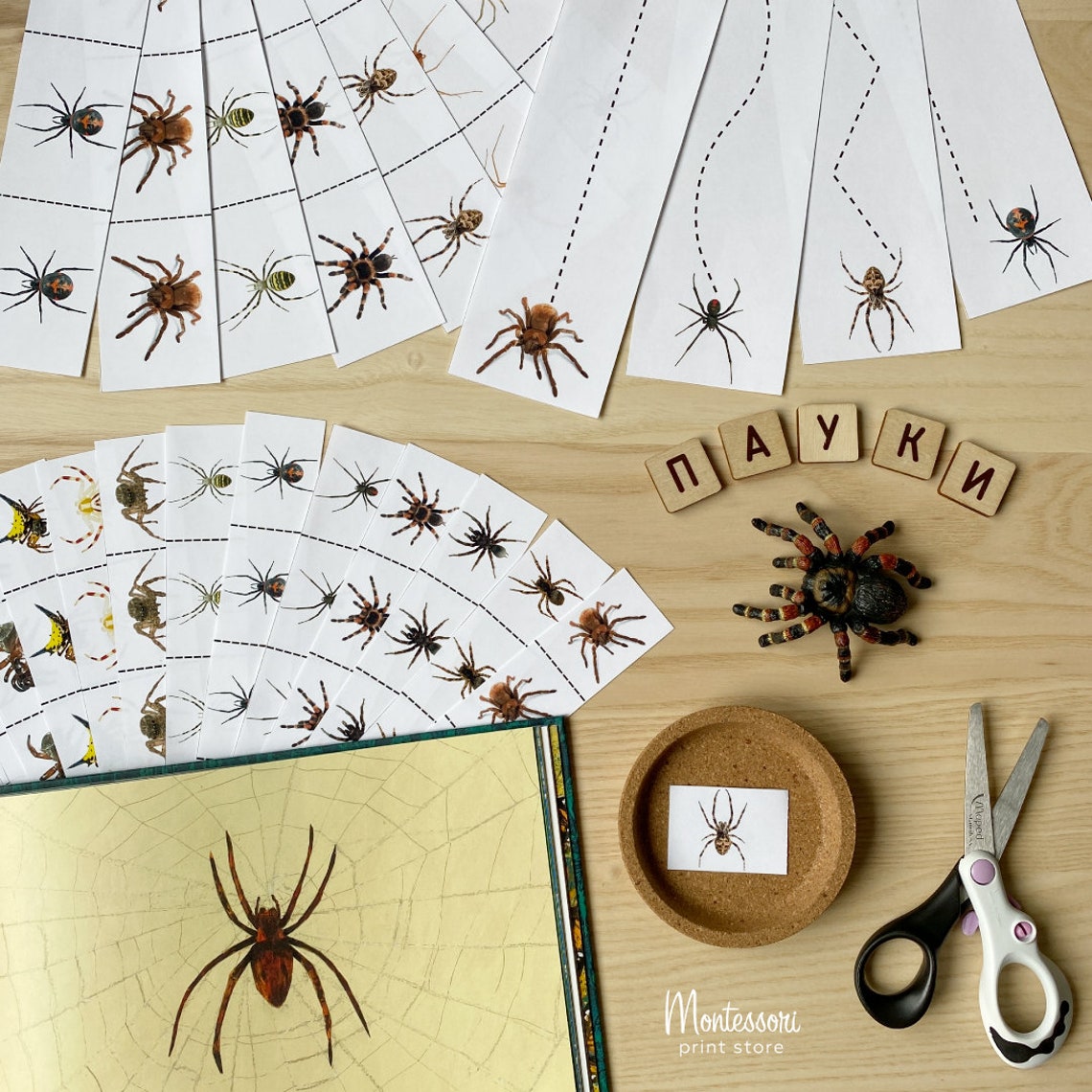 Spiders Scissor Strips Bundle Cutting Strips Preschool | Etsy