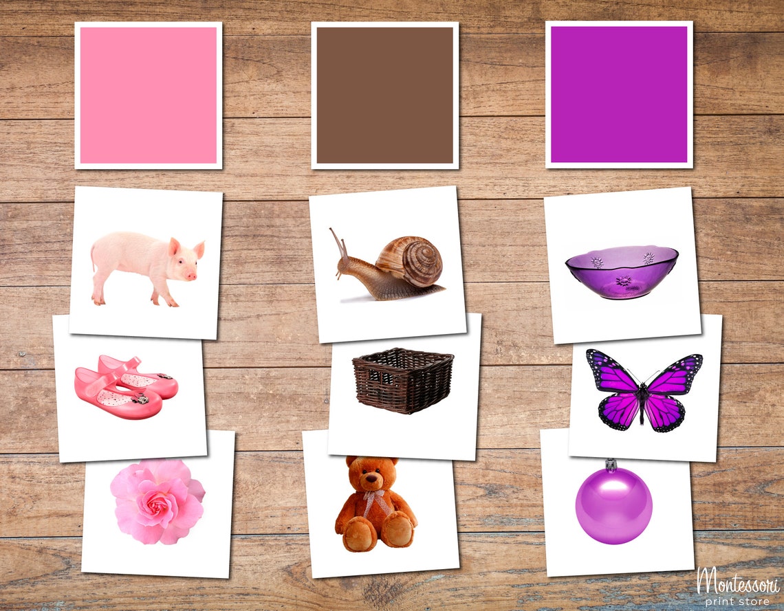 Color Sorting Cards Color Matching Montessori | Etsy