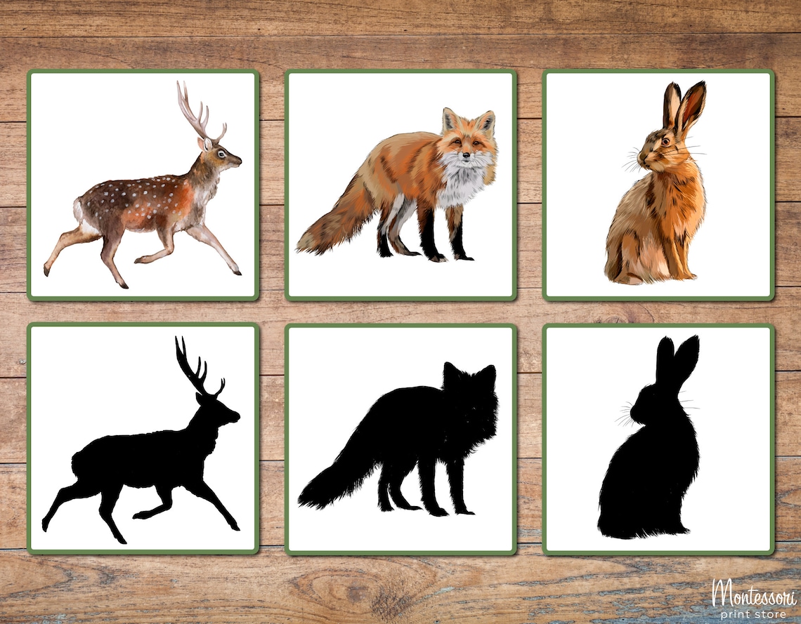 Woodland Animal Shadow Matching Cards. Toddler Montessori | Etsy