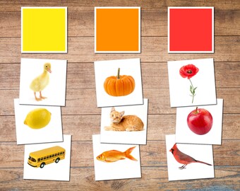 Montessori Color | Etsy