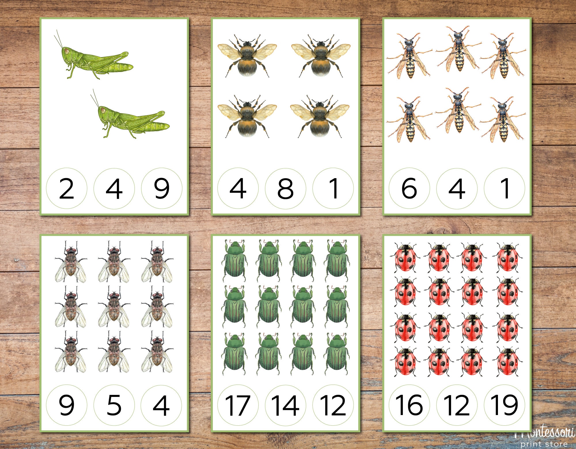 Insects Count and Clip Cards 1-20. Montessori Printable. | Etsy