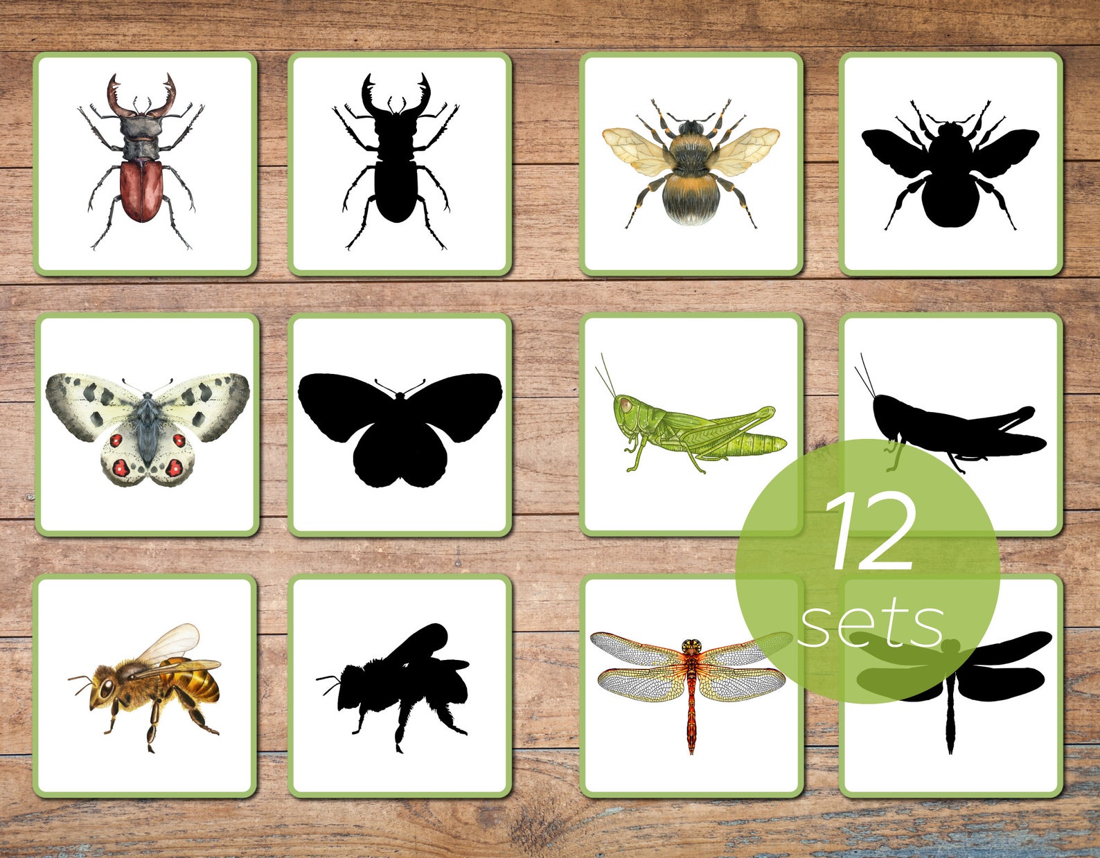 Insect Silhouette Matching Cards. Printable Montessori | Etsy