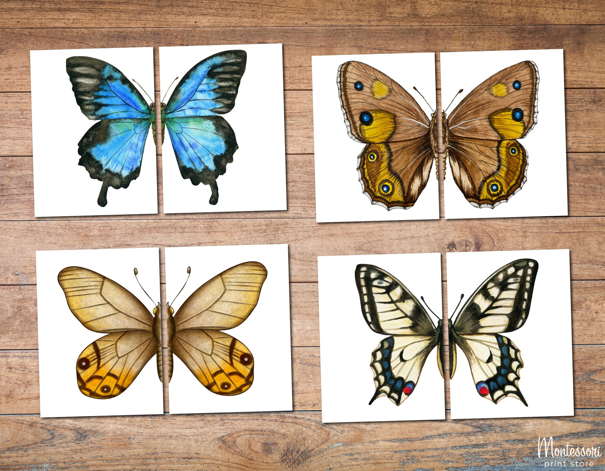 Butterfly Symmetry Puzzles Matching Cards Montessori | Etsy