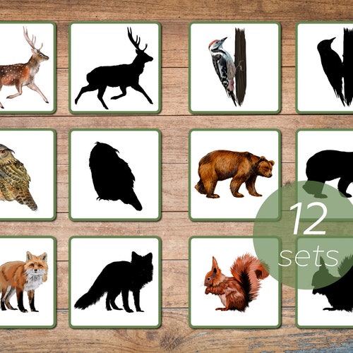 Snowflake Shadow Matching Cards. Montessori Winter Printable. | Etsy