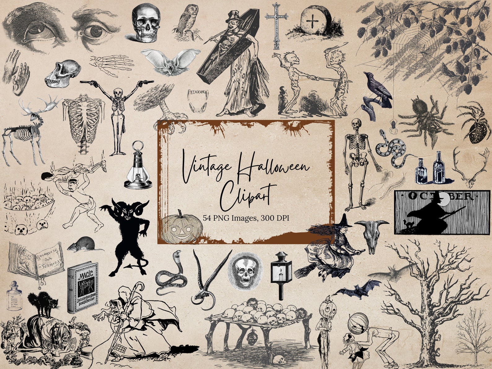 Vintage Halloween Clipart, Creepy Illustrations, 54 PNG Images, Free ...