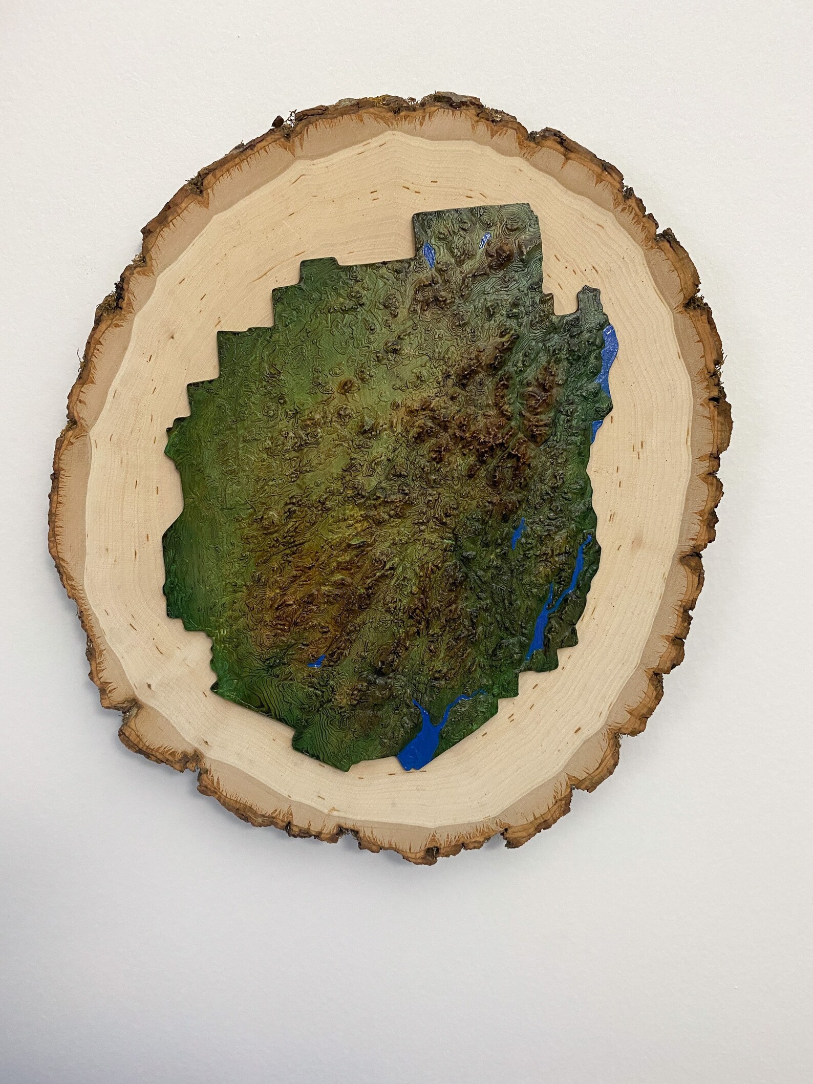Hand-painted 3D Printed Terrain Map of the Adirondack Park | Etsy