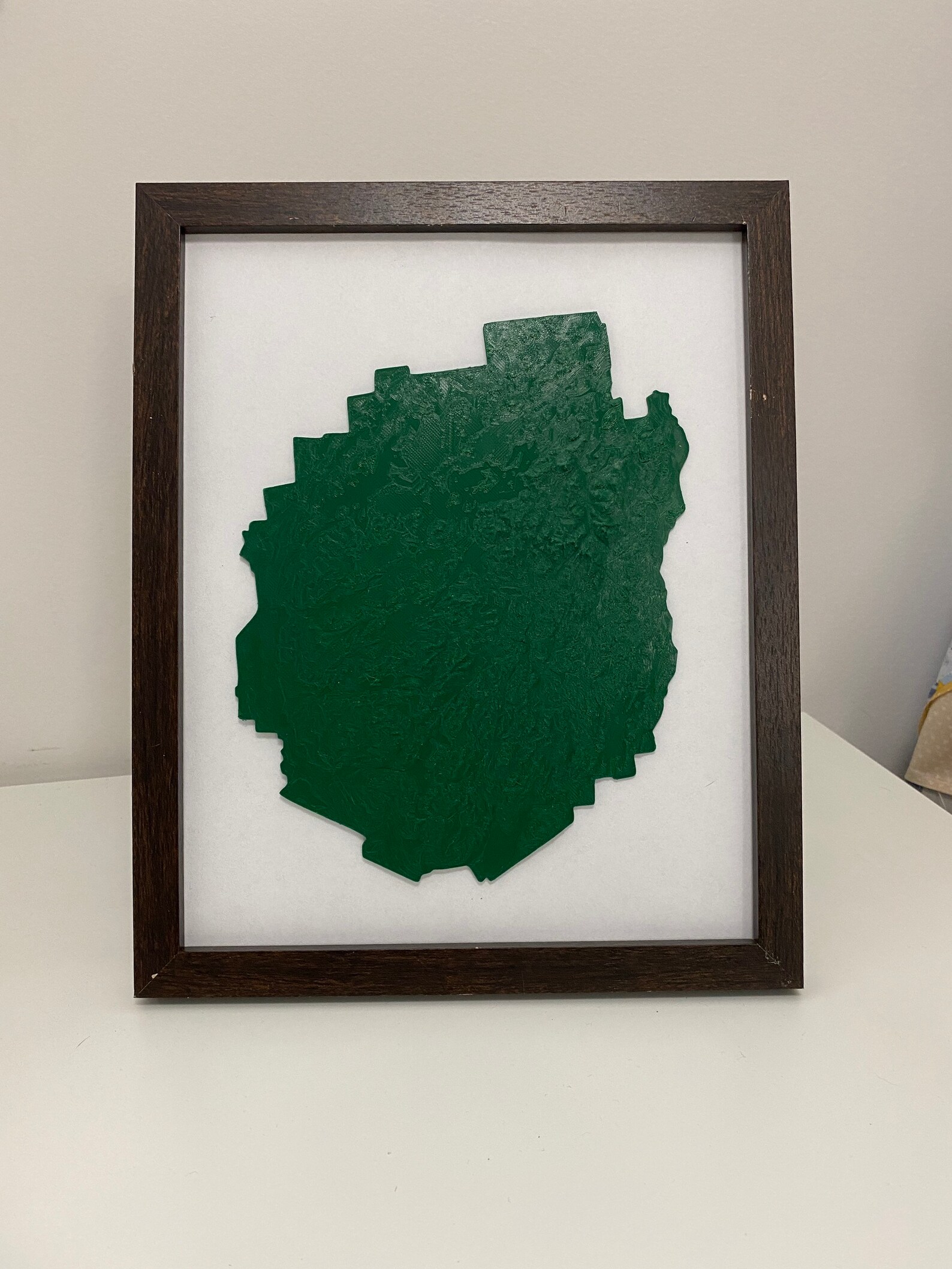 3D Printed Terrain Map of the Adirondack Park - Etsy