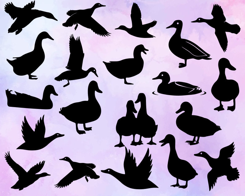 Cupped Duck Silhouette