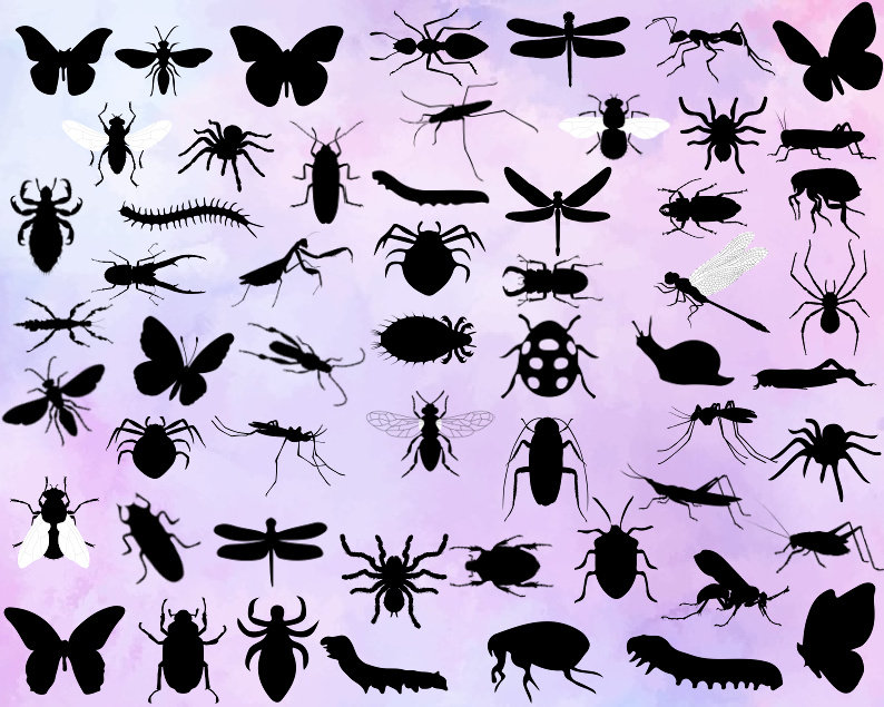 Insect SVG Insect Silhouette SVG Cut Files Insect Bundle - Etsy Canada