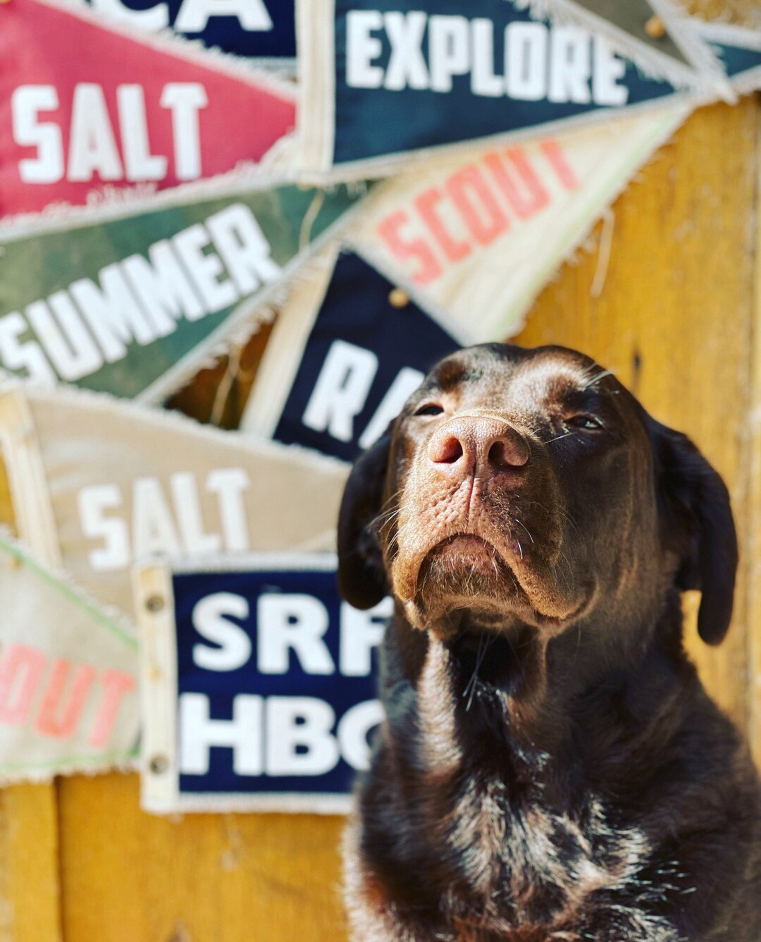 Custom Camp Flag in Midnight Blue Green With White HILTON HEAD - Etsy