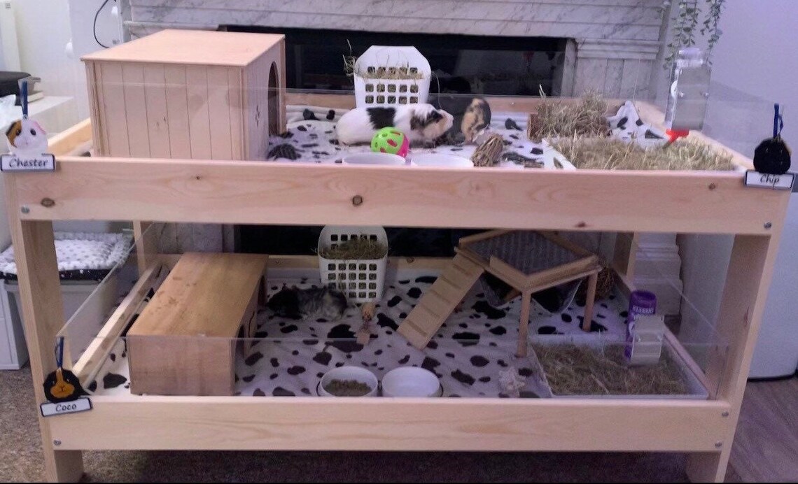 Large Indoor Guinea Pig Cage / Enclosure Two Levels 148x74x94cm - Etsy UK