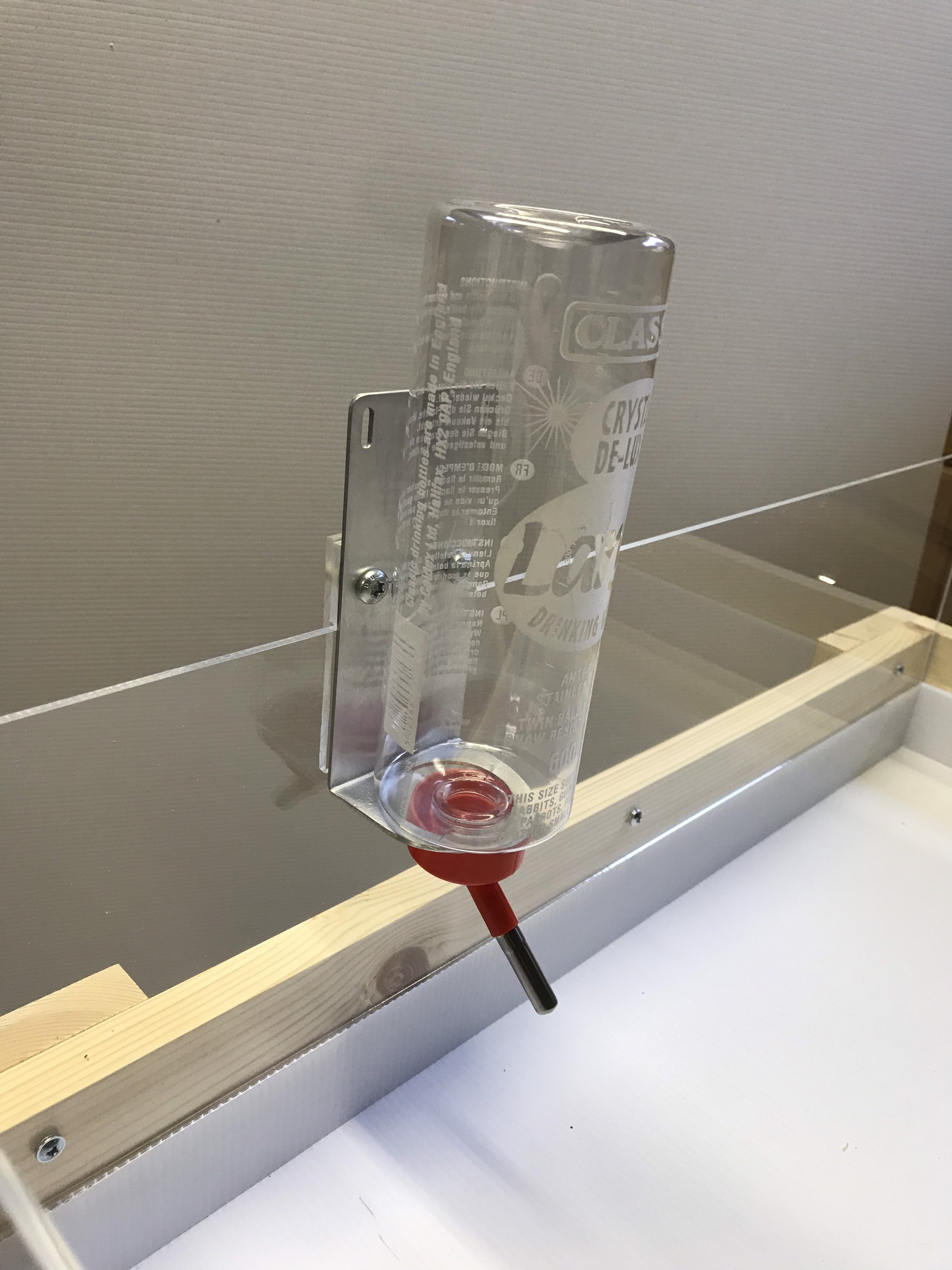 Perspex Mounted Bottle Holder for All Woodys Guinea Pig Enclosures ...
