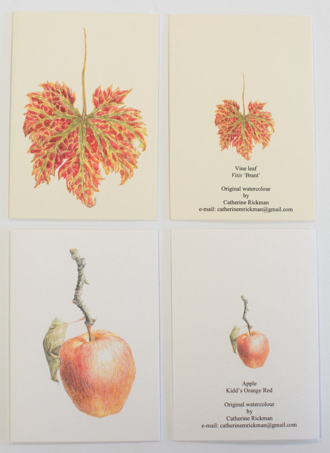 Oxford Printmakers Oxford Greeting Cards Catherine Rickman Card Pack 1 ...