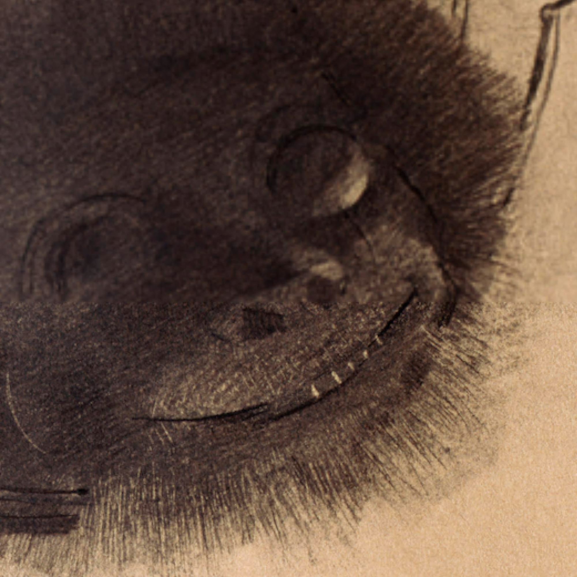 Odilon Redon: The Smiling Spider Symbolist Drawing Premium Matte ...