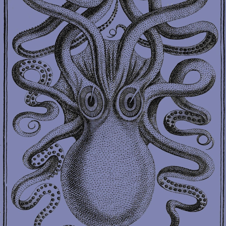 The Kraken, Norse Viking Mythology | Legendary Sea Monster | Giant ...