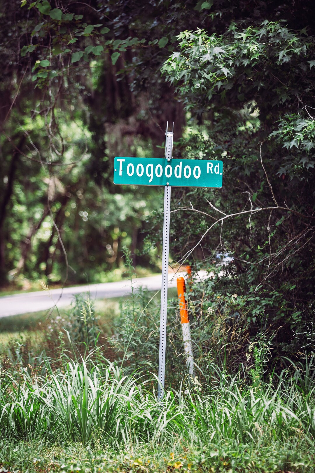 Edisto, Original Photo, Toogoodoo Road Sign, Edisto Island, Coastal ...