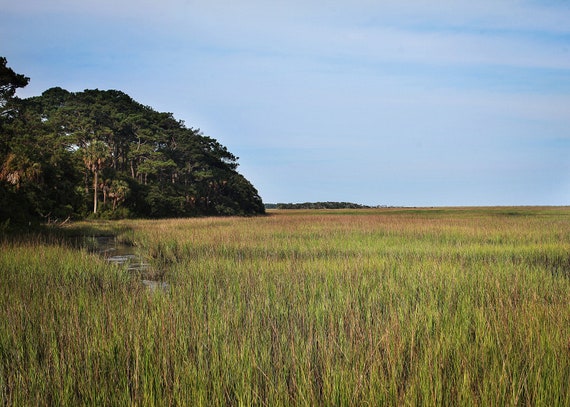 Edistooriginal Photo Print Botany Bay Edisto Island | Etsy
