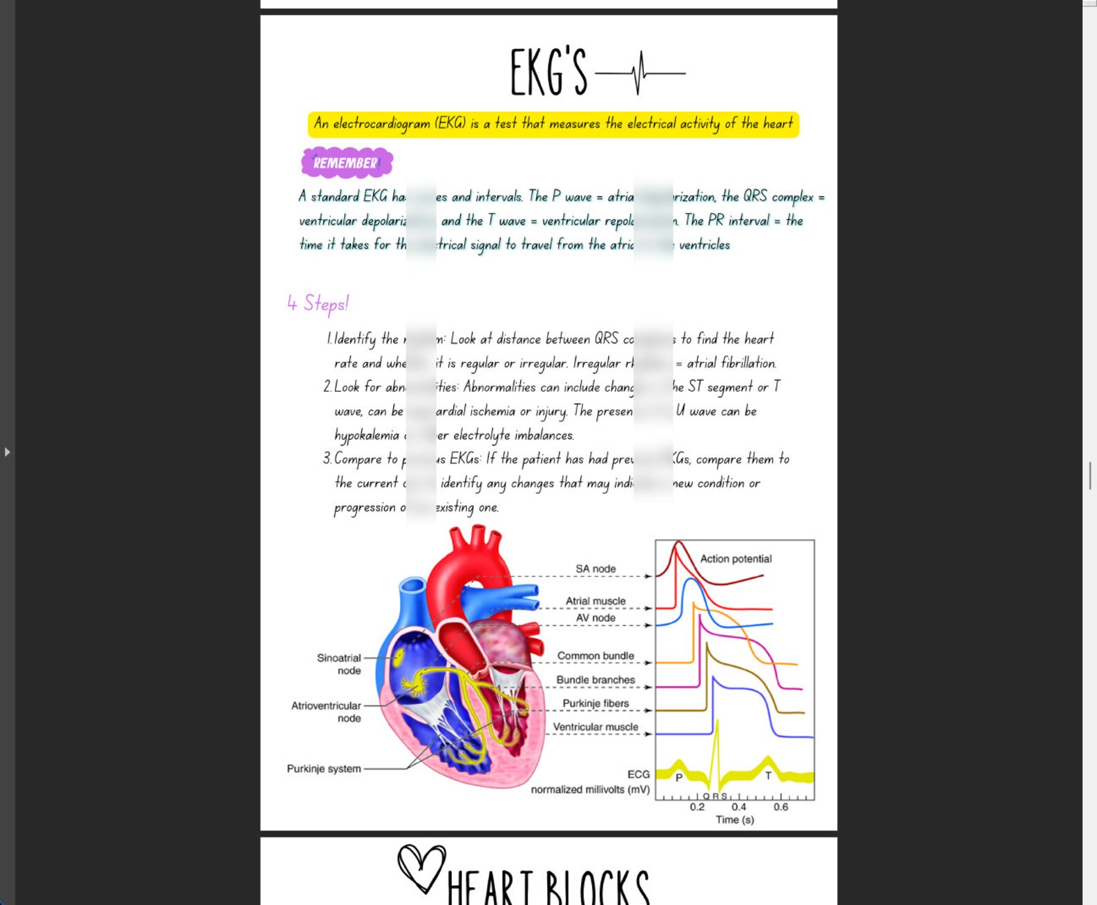 NCLEX-RN Critical Care Bundle 2024 - All Study Sheets Updated for the ...