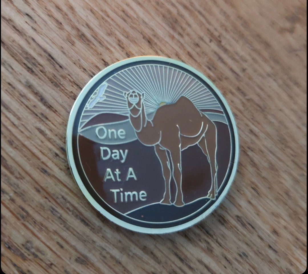 Camel One Day at a Time Tri-plated Chip. - Etsy