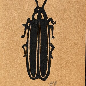 Handmade Beetle Block Print Card Set Hand Printed Set of 8 Blank Inside ...