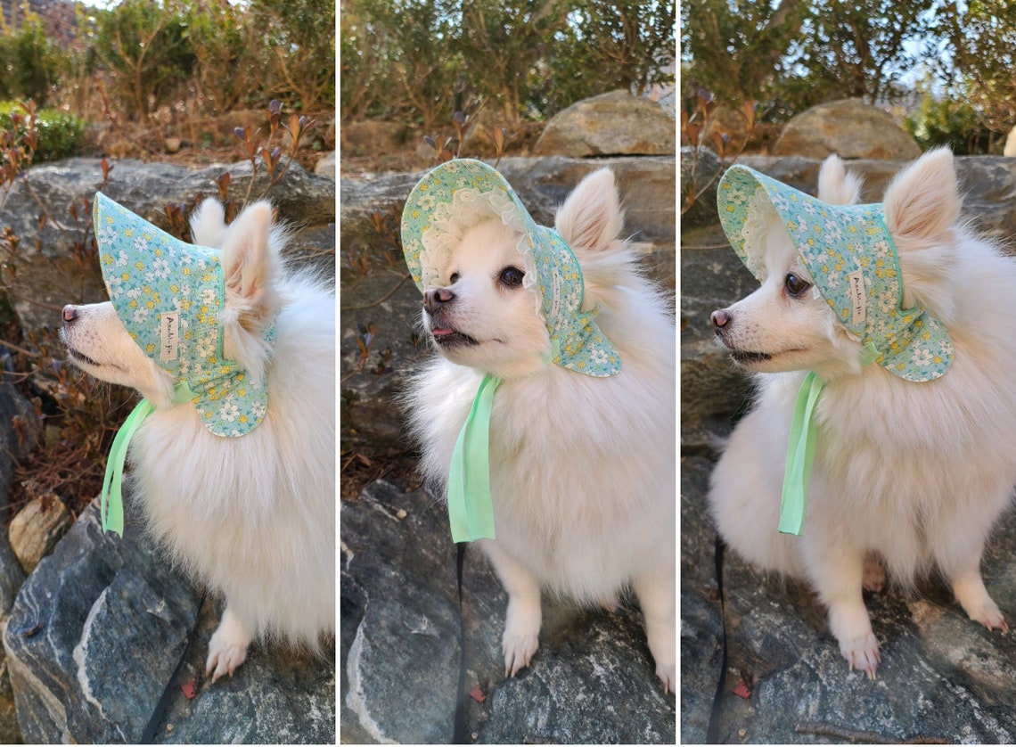 Dog Bonne, Cat Bonnet, Dog Hat/ Small Medium and Large Dogs in Outdoor ...