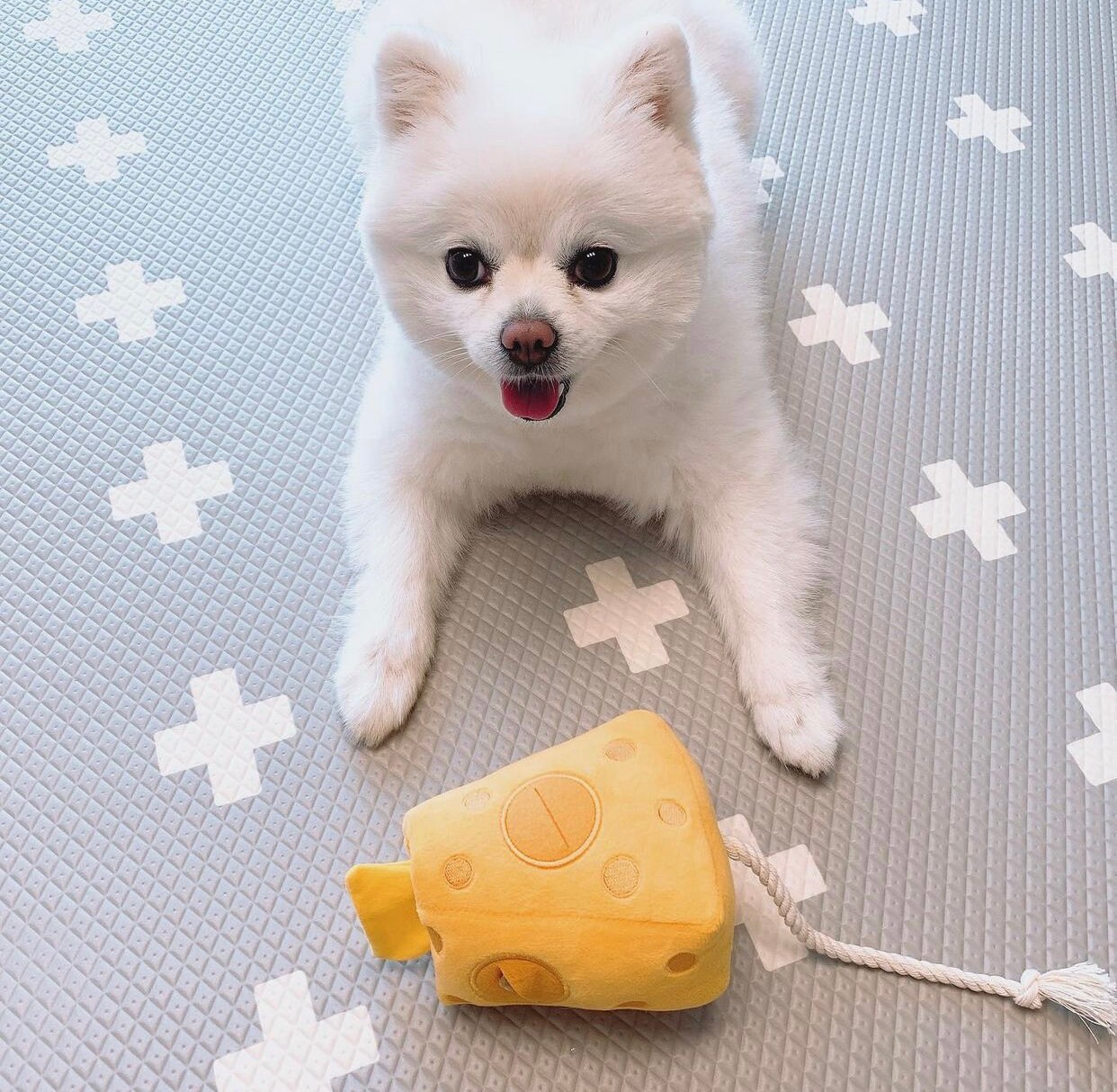 Dog Toys Cheese Ball Snuffle Mats for Dogs/ Interactive Fun/ - Etsy