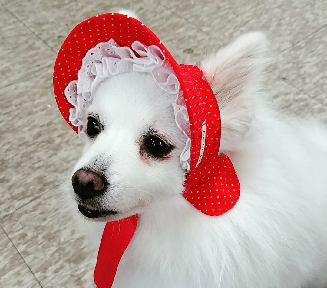 Dog Bonne, Cat Bonnet, Dog Hat/ Small Medium and Large Dogs in Outdoor ...