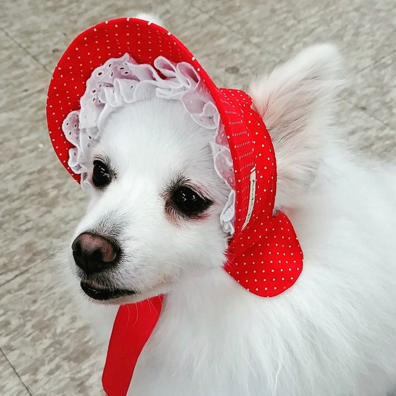 Dog Bonnet - Etsy