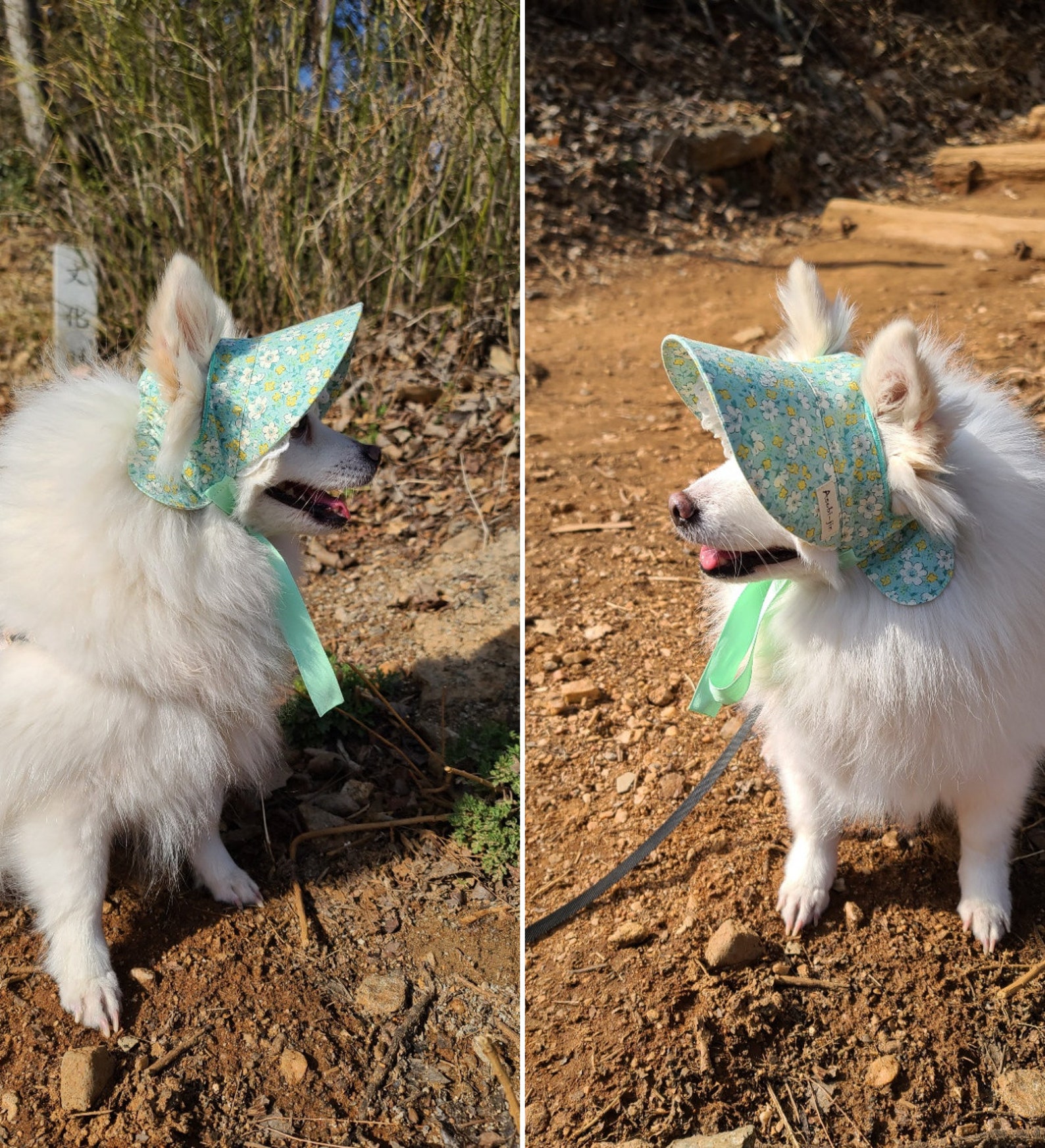 Dog Bonne, Cat Bonnet, Dog Hat/ Small Medium and Large Dogs in Outdoor ...