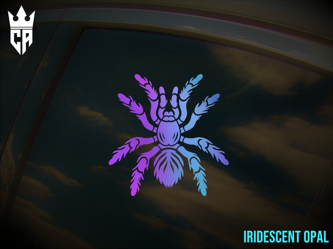 Tarantula Car Window Sticker, Die-cut Vinyl Decal - Etsy