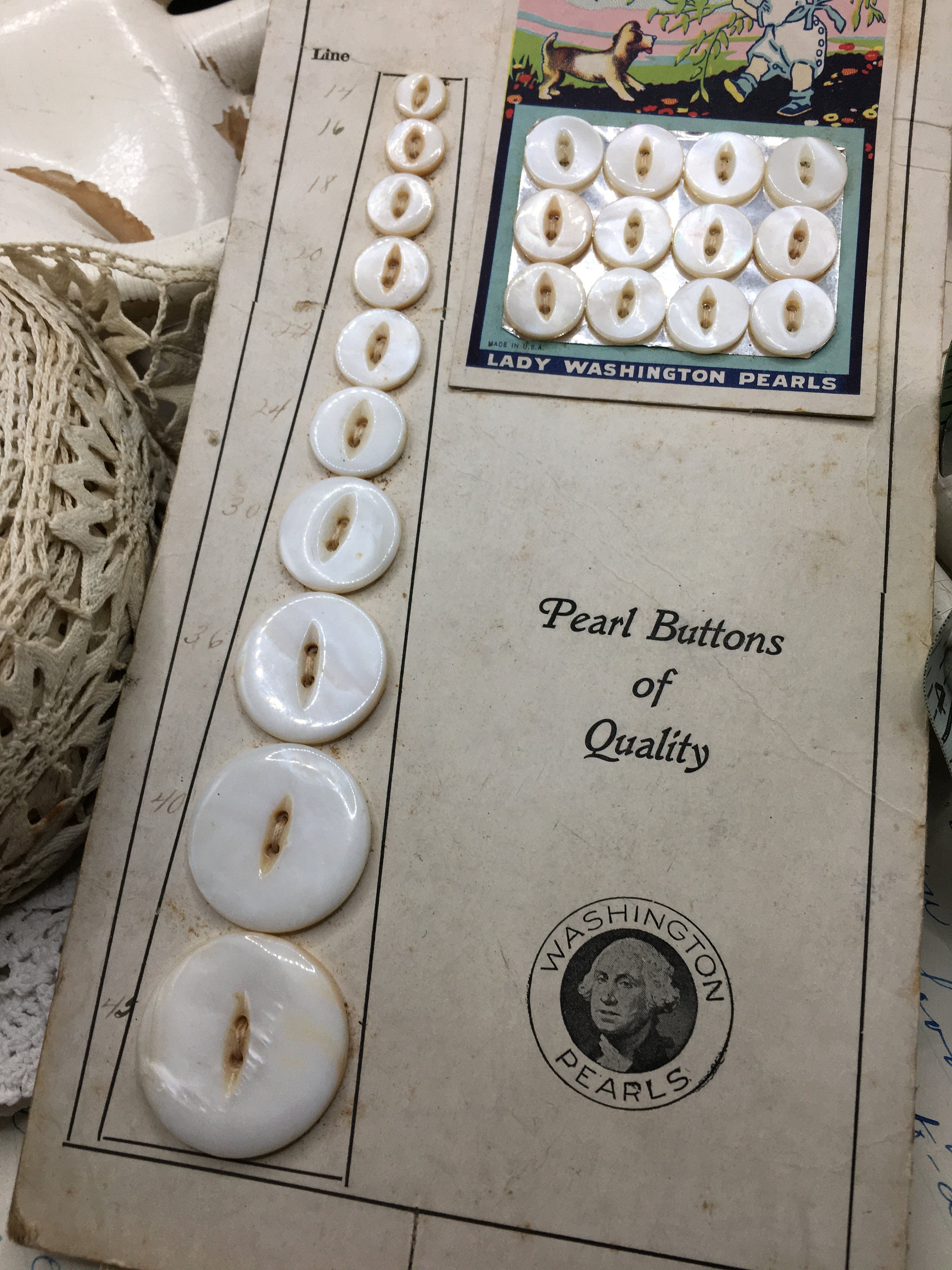 Antique Pearl Button Salesman Sample Card Original Litho Print ...