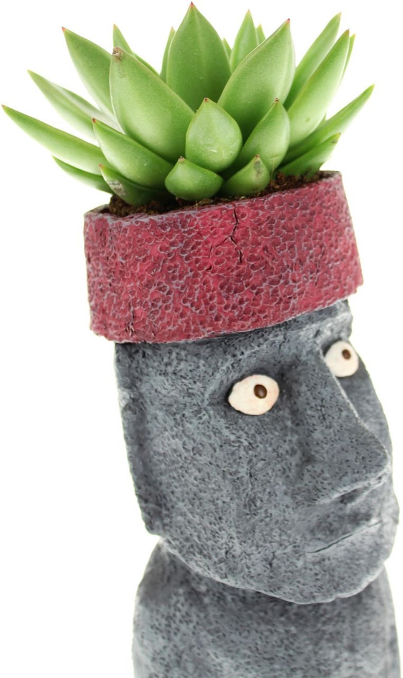 Moai Flowerpot Darkish Grey Material Polyresin - Etsy