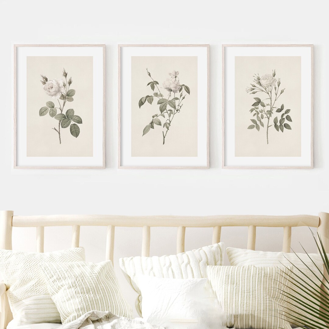 Vintage White Floral Print Set, Antique Botanical Wall Art - Etsy