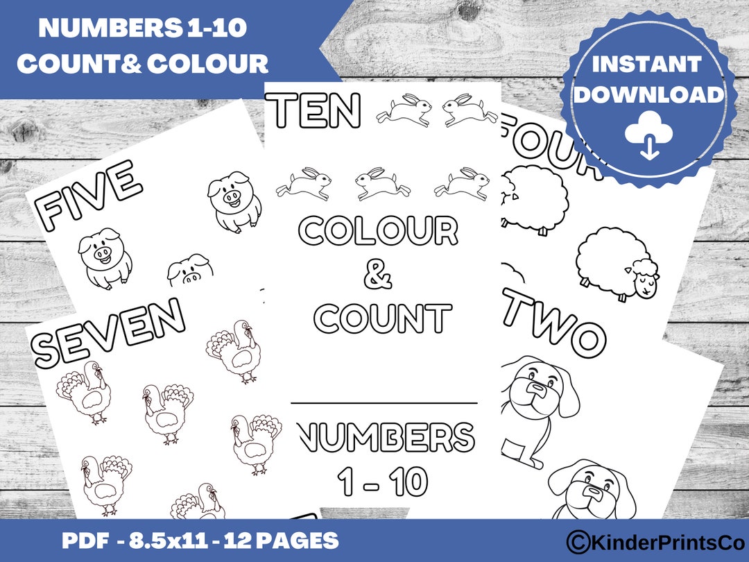 Colour & Count Printable Colouring Book - Etsy