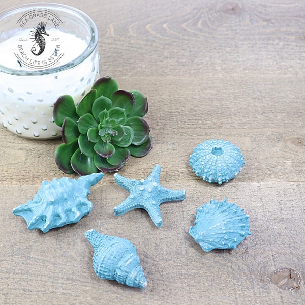 Sea Life Magnets - Etsy