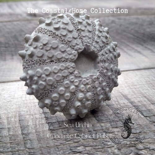 Beach House Unique Knobs Cabinet Pulls Drawer Handles and - Etsy