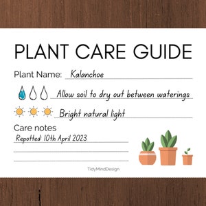 Printable Plant Care Guide | House Plant Care Cards | Plant Care ...