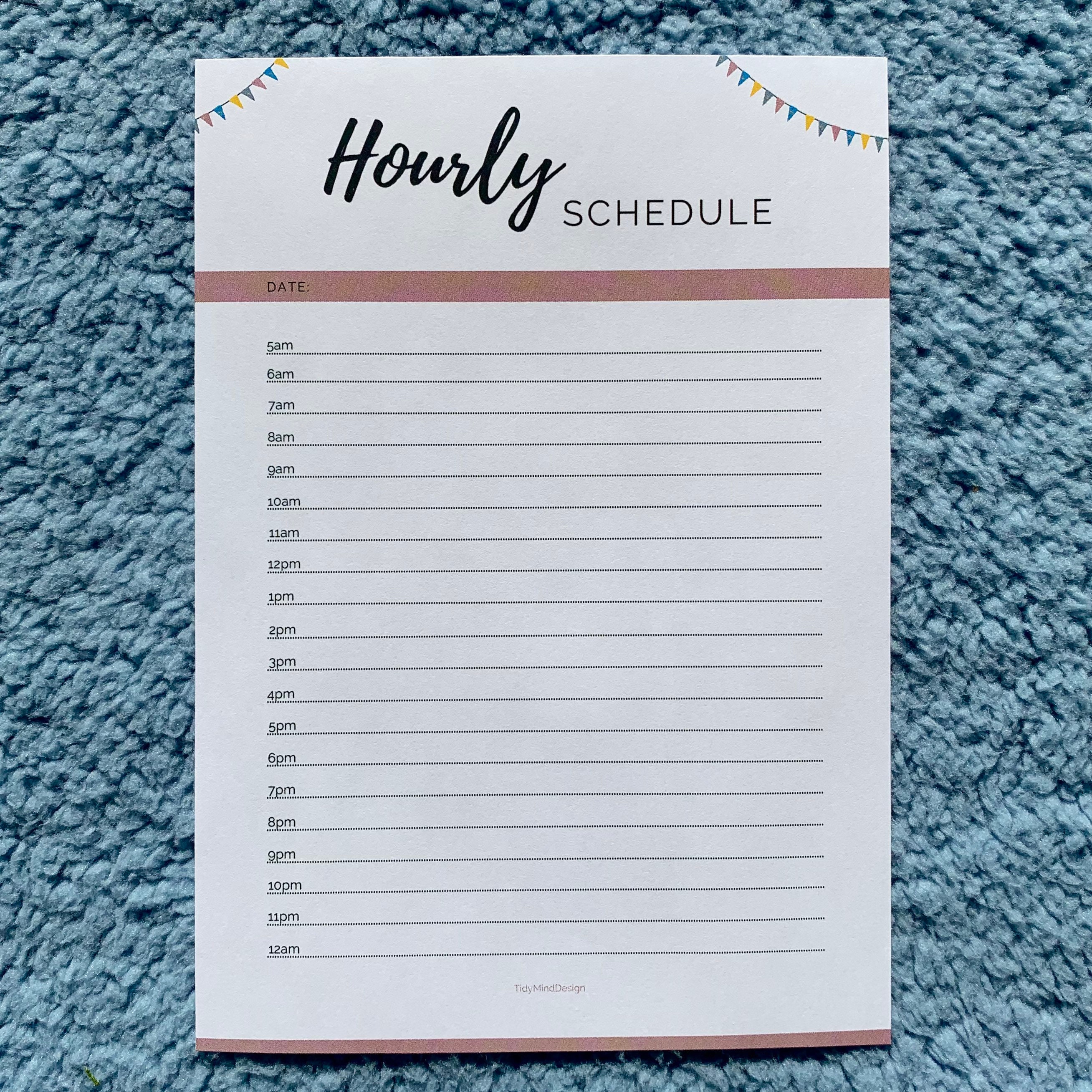 Daily Hourly Schedule Printable Hour by Hour Planner Daily - Etsy